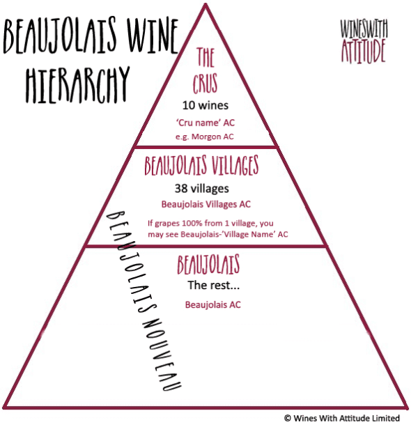 All about Beaujolais wines | It's not all Beaujolais Nouveau