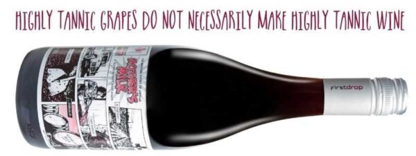 Tannin in wine | Does tannin make wine taste bitter?