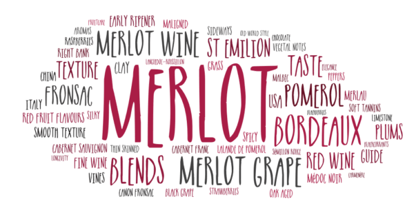 All about the Merlot grape and why you'll like Merlot wines