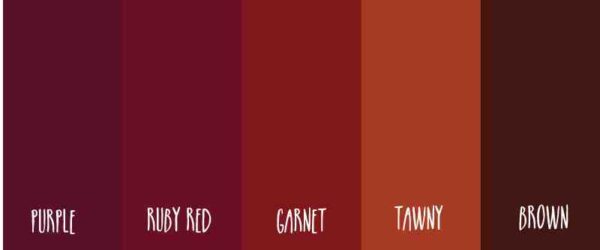 The colour of wine & clues that colour can give us about the wine