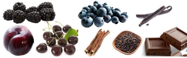 The Malbec grape & Malbec wine and why it's popular